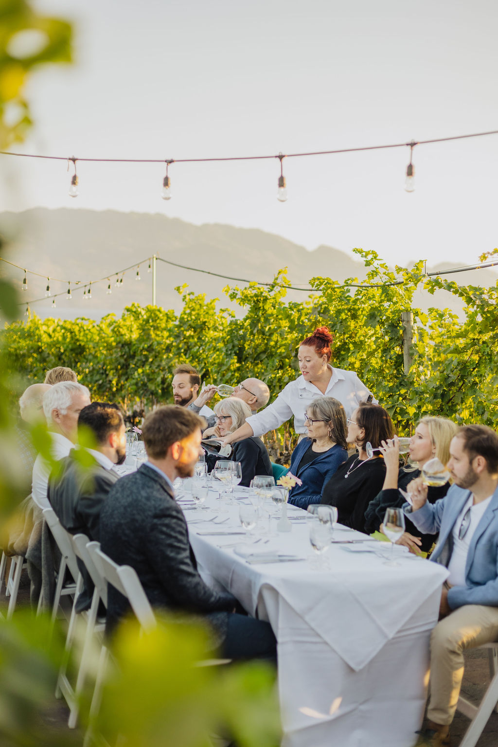 Tastings - Quails' Gate Estate Winery