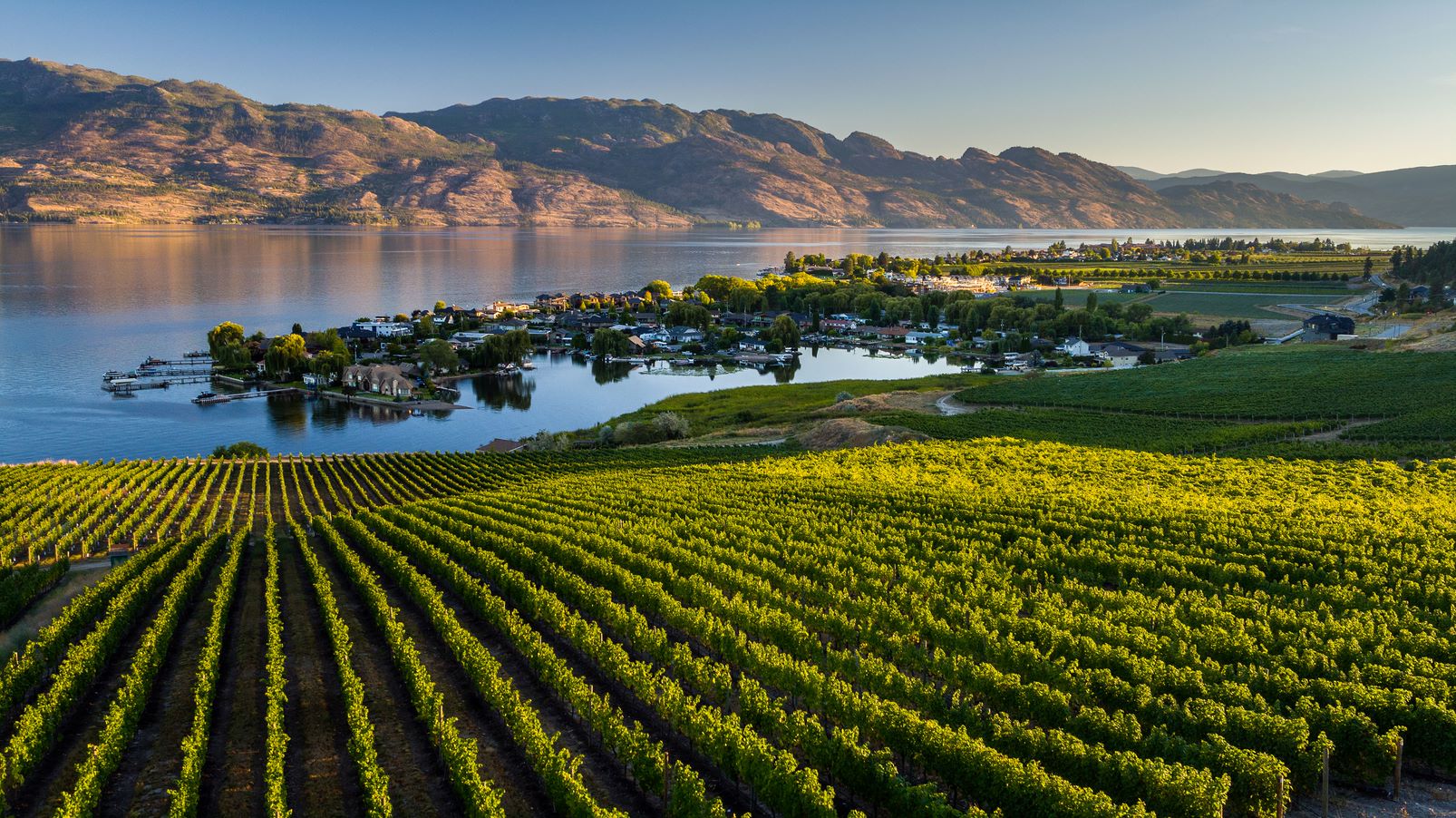 Quails’ Gate Winery Estate Receives Sustainable Winegrowing BC ...