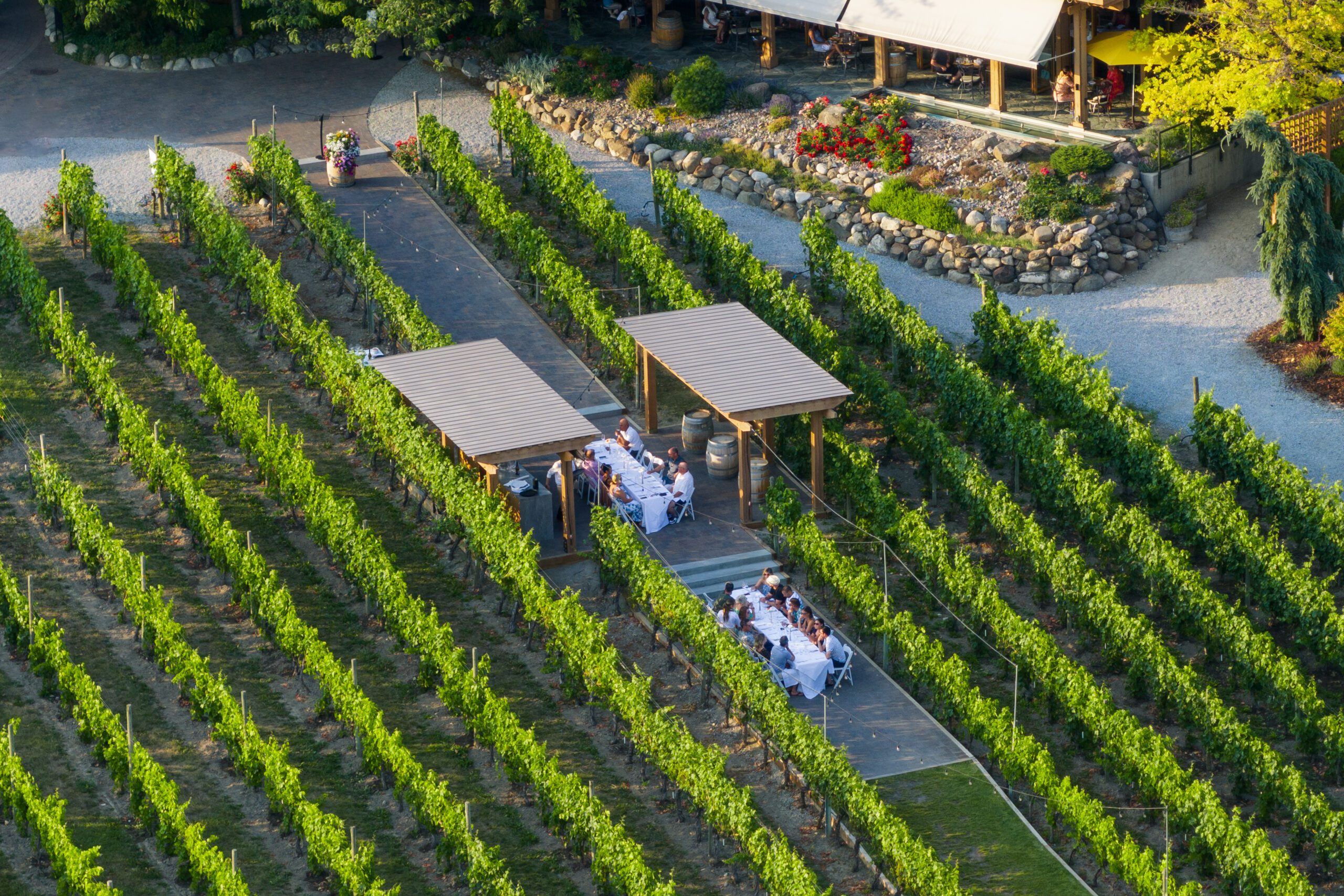 QUAILS' GATE WINERY WELCOMES JENNAY OLIVER