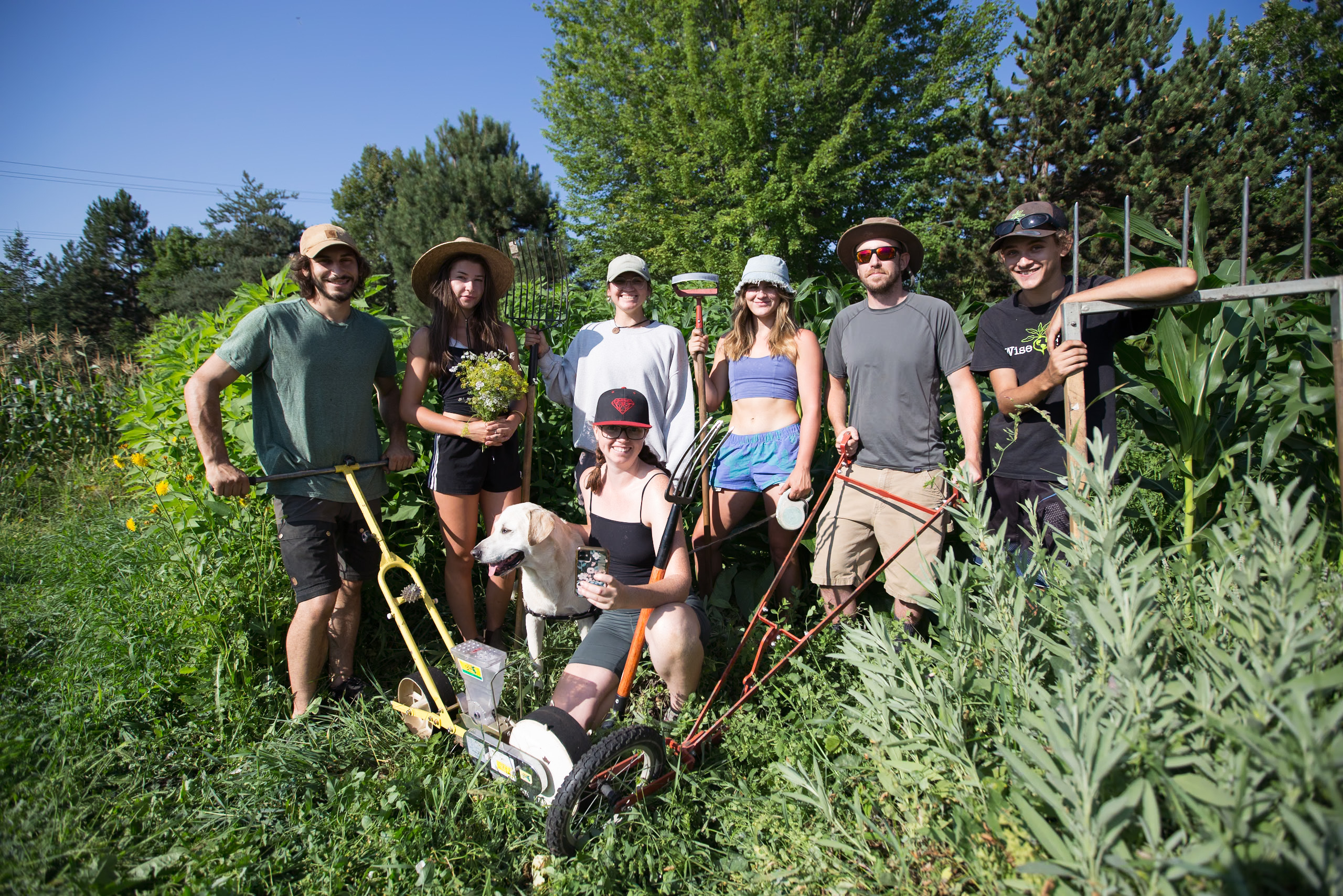 From Soil to Fork: Meet Wise Earth Farm - Quails' Gate Estate Winery